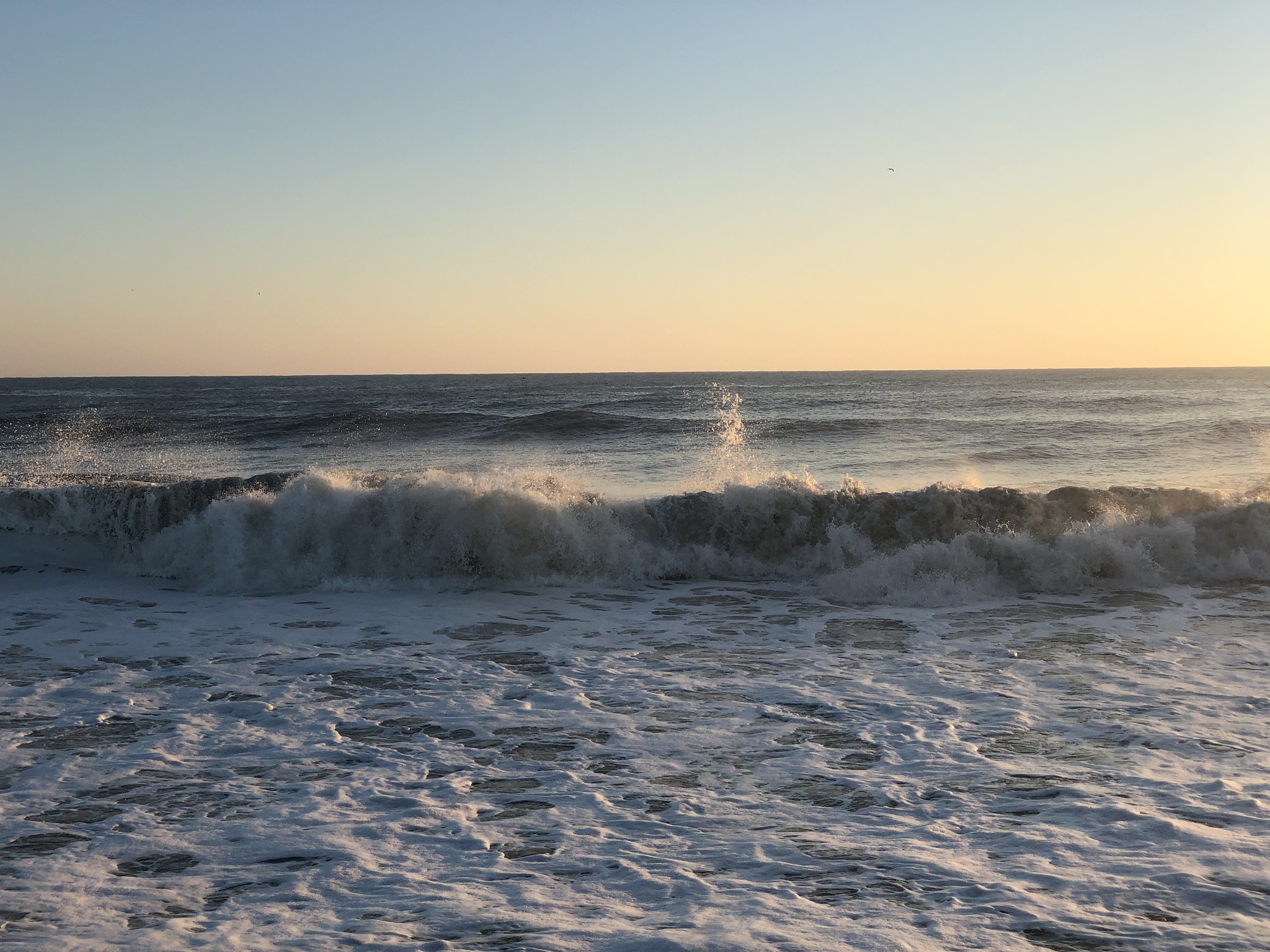 Why Vacation Closer to Home in 2020? | Twiddy Blog
