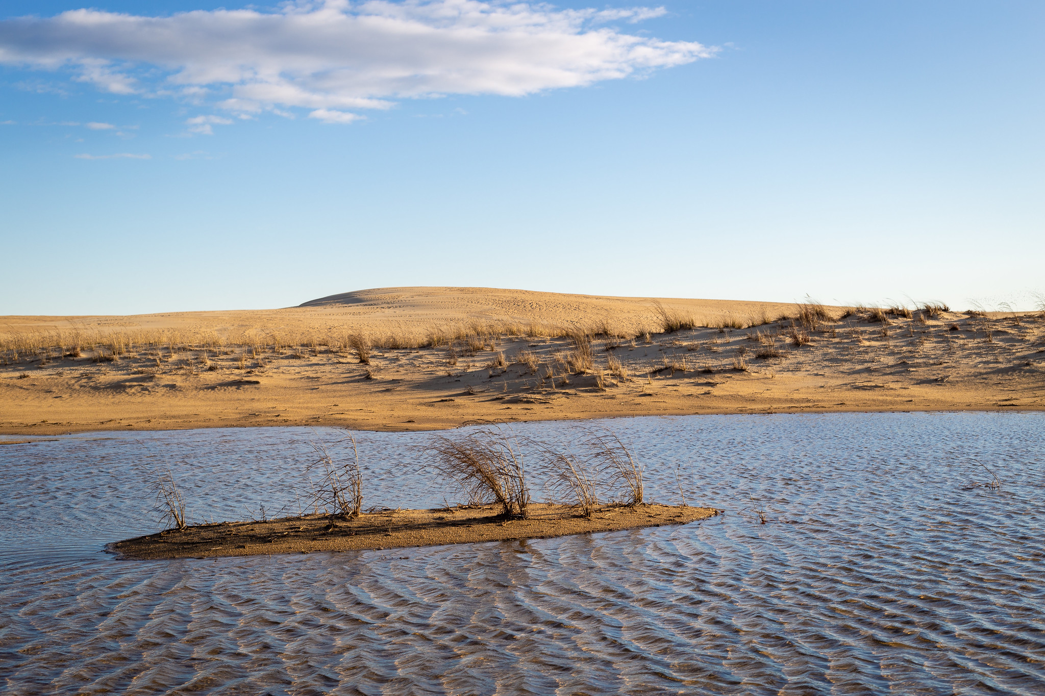 Visiting Jockey's Ridge State Park