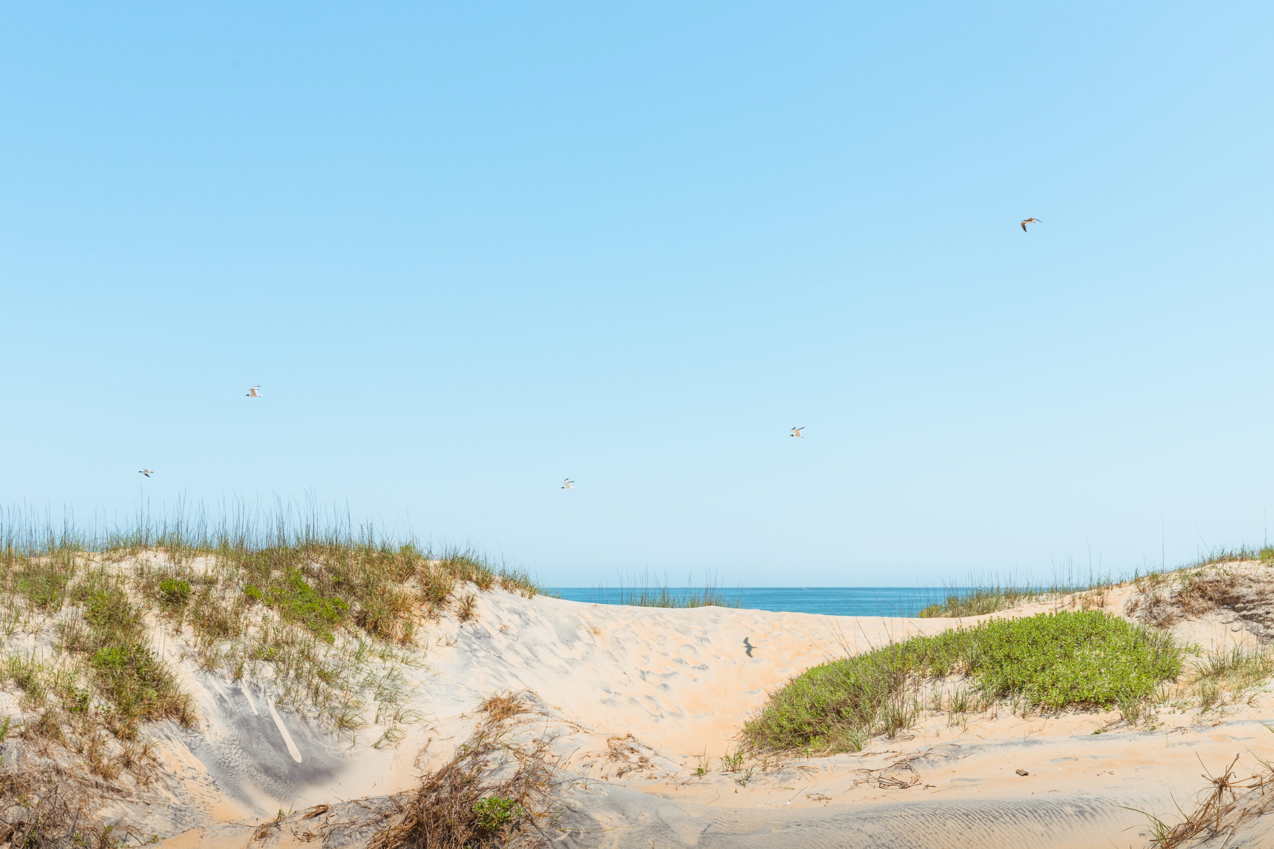 Free Things to Do in the OBX | Twiddy Blog